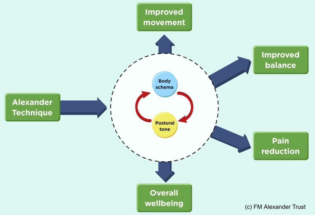 Why your map matters: body schema and postural tone | Bristol Alexander ...