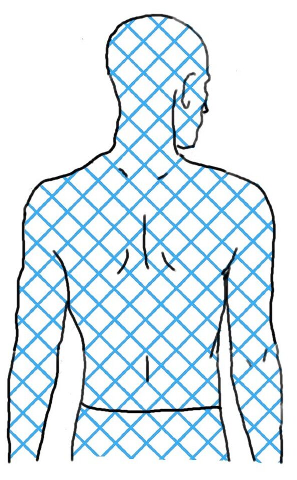 Why your map matters: body schema and postural tone | Bristol Alexander ...