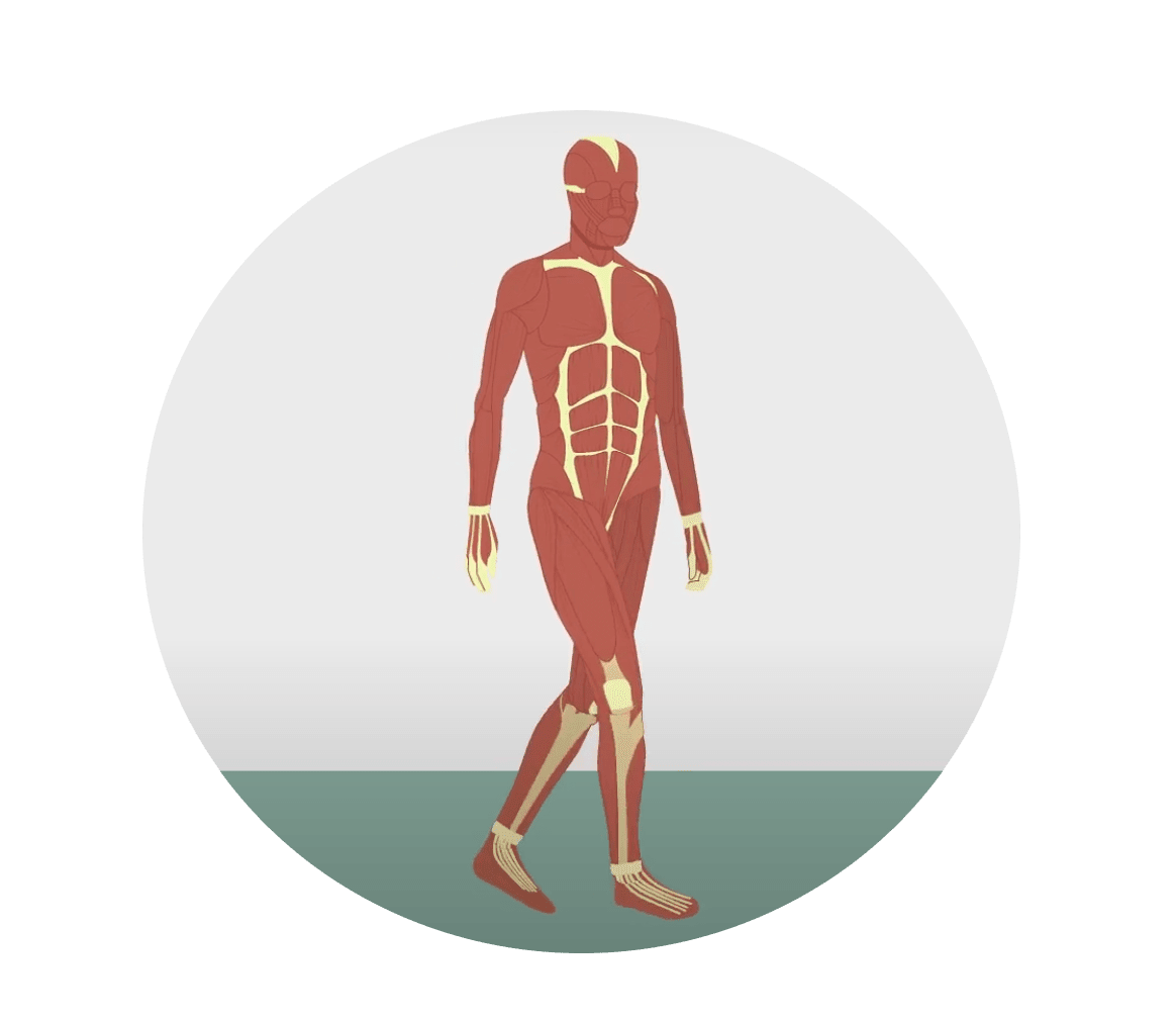 Why your map matters: body schema and postural tone | Bristol Alexander ...