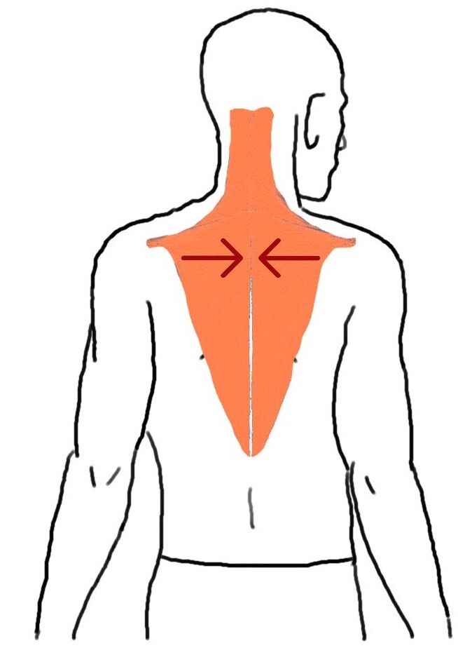 Why your map matters: body schema and postural tone | Bristol Alexander ...